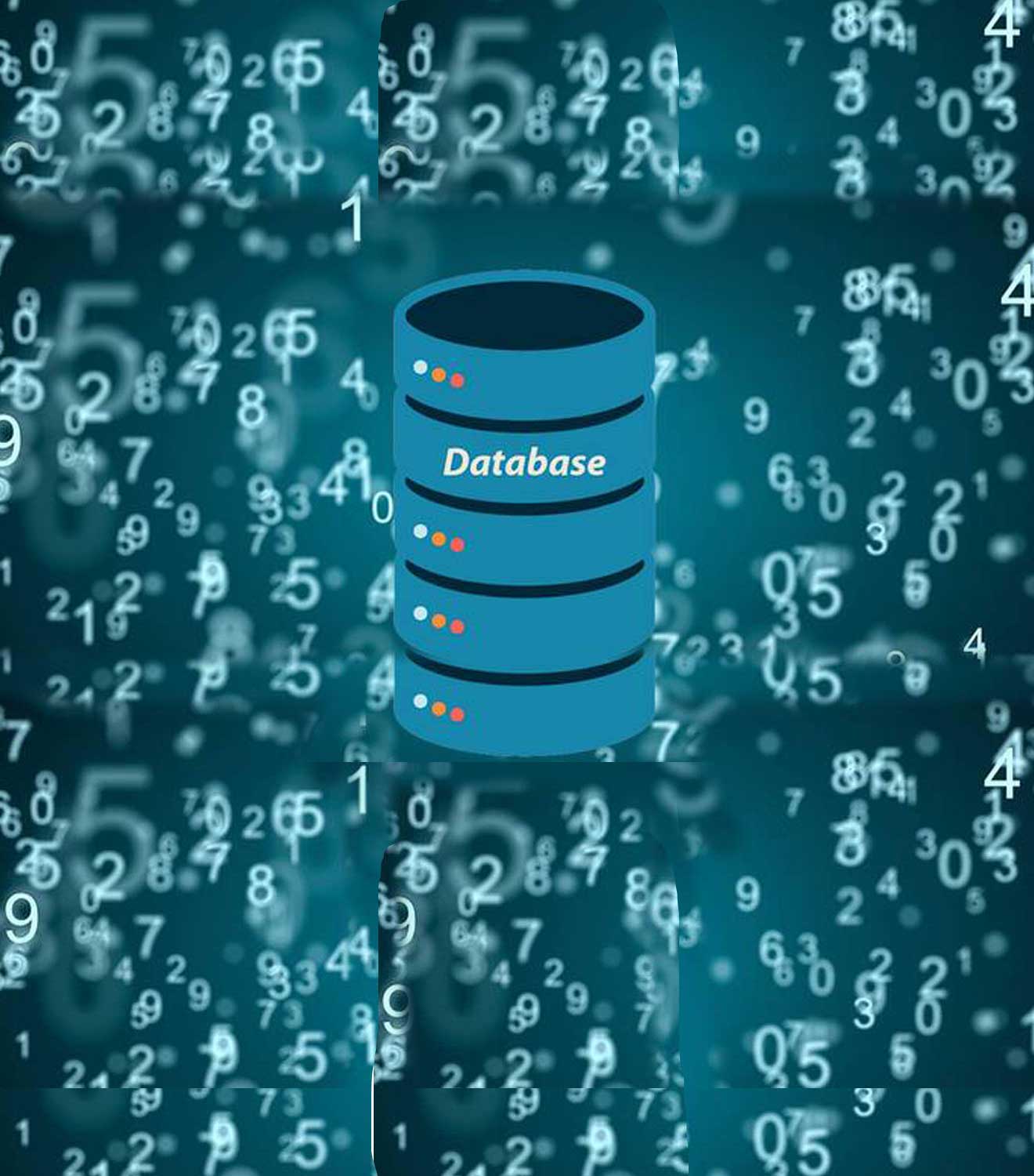 Speedy Databases & Management - Dreamz Vision